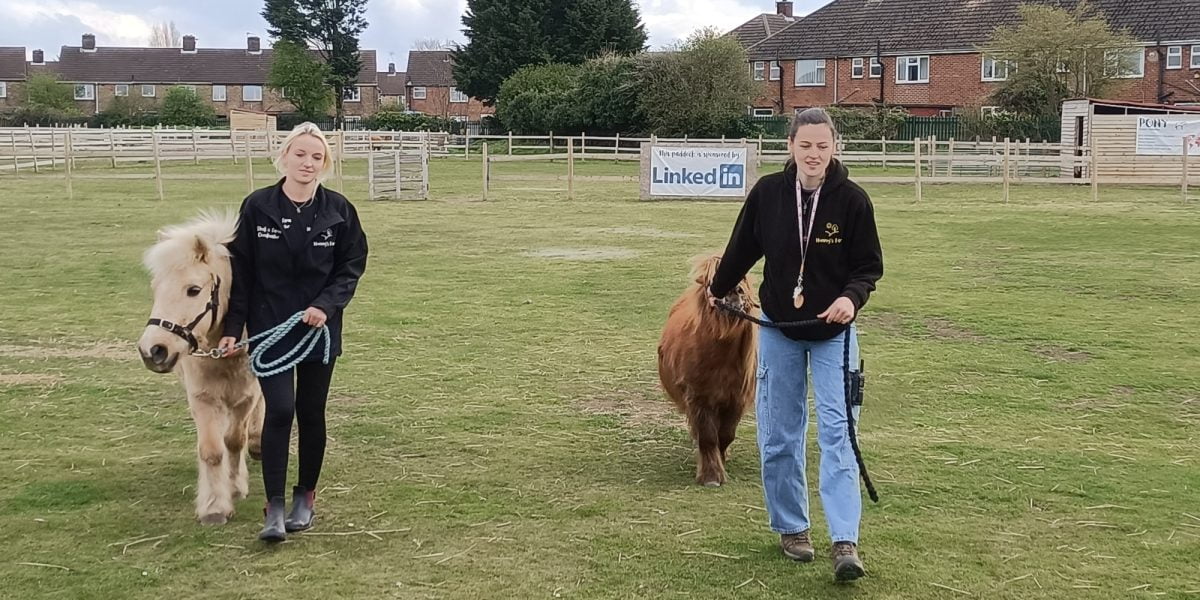 Walking Weekend at Nunny Farm - Gi Media